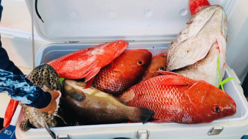 Sanya: Deep Sea Fishing Yacht Experience - Is It Worth the Price?