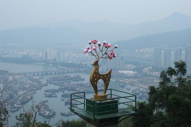 Sanya Shore Excursion: Sanya Luhuitou Park & Local Grocery Market visit - FAQs
