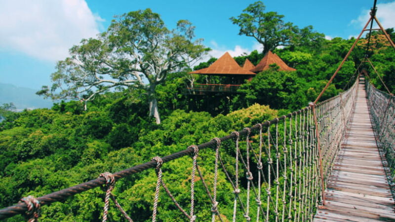 Sanya: Yalong Bay Tropical Forest Ticket and Tour Car - The Experience From the Traveler’s Perspective