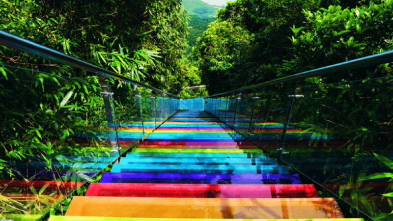 Sanya: Yalong Bay Tropical Forest Ticket and Tour Car - Our Verdict: Who Will Love This Tour?