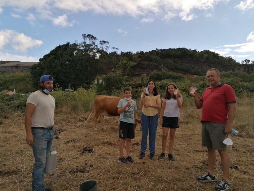 Sao Jorge Cheese Tour - Half day - FAQ