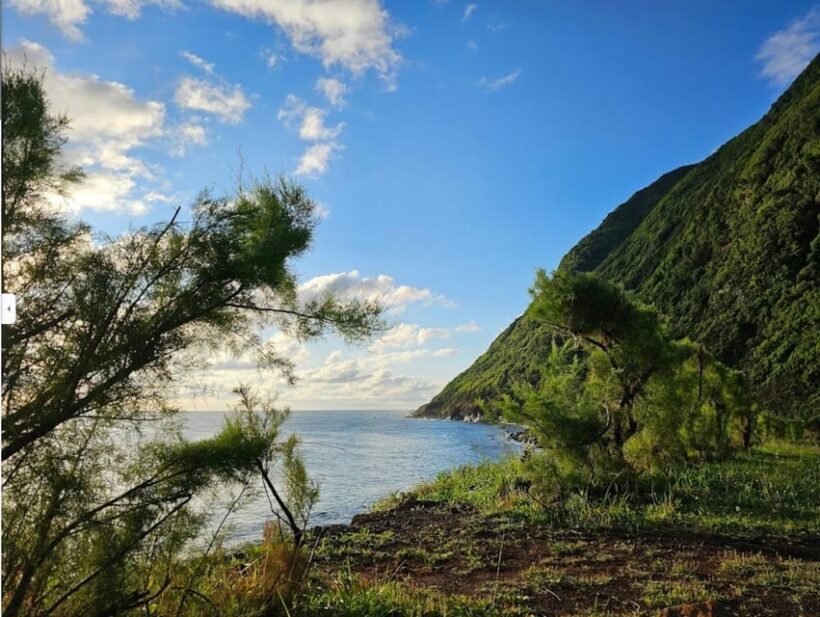 São Jorge: Island, Forest Reserve & Fajãs Guided Tour - Key Points