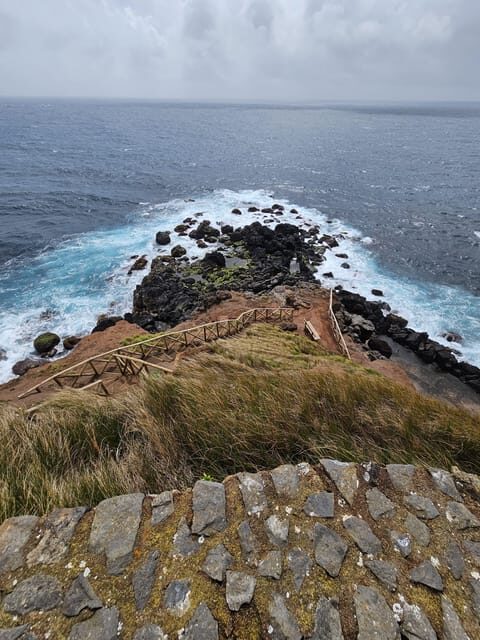 São Jorge: Island, Forest Reserve & Fajãs Guided Tour - Exploring São Jorge: What This Tour Offers