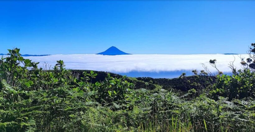São Jorge: Island, Forest Reserve & Fajãs Guided Tour - The Sum Up: Who Will Love This Tour?