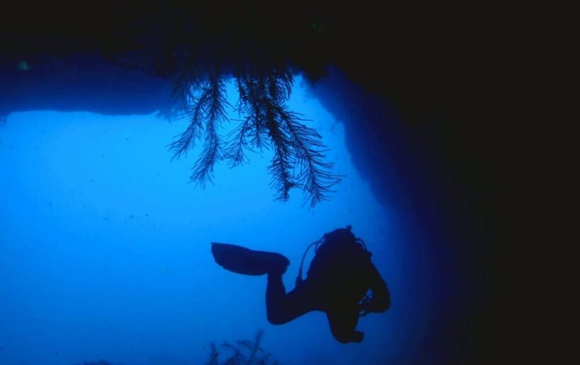 São Jorge: Scuba Diving - 2 Dives (Half Day) - Final Thoughts