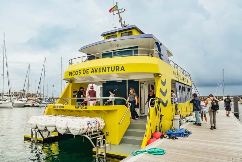 São Miguel Azores: Half-Day Whale Watching Trip - Authentic Encounters and Real Reviews