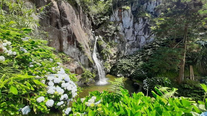 São Miguel Azores: Hike and Snorkeling with a local - Summary and Final Thoughts