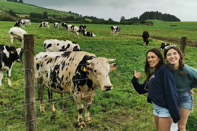 São Miguel, Azores - Private Tour in an 8-Seater Van Exclusively for You - Traveler Reviews and Feedback