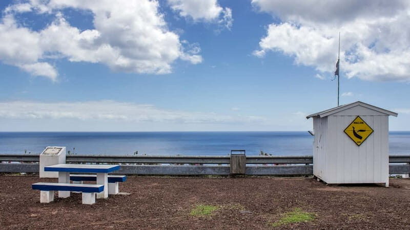 São Miguel: Azores Whaling Heritage Tour - Introduction: An Authentic Dive into Azorean Maritime Tales