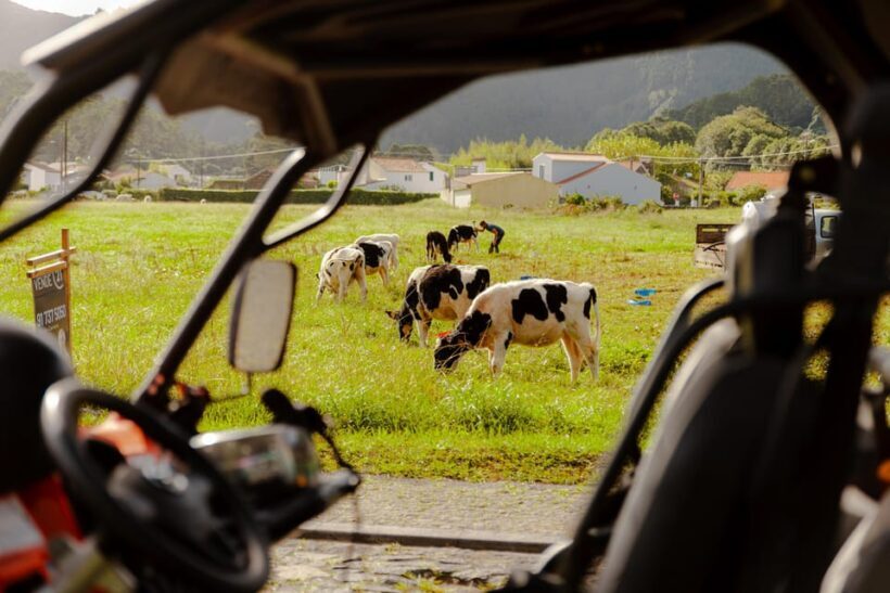Sao Miguel: Buggy Tour Around Sete Cidades Volcano - Who Is This Tour Best For?
