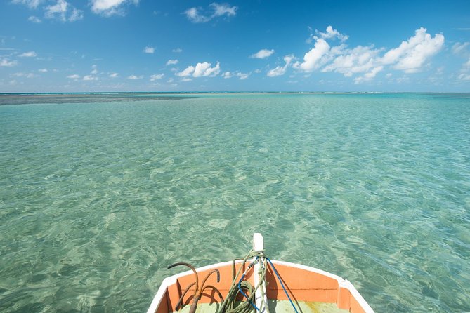 São Miguel Dos Milagres Tour From Maragogi With Costazul Turismo - Key Points