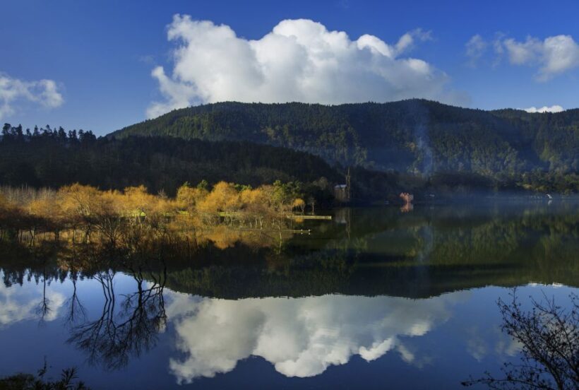São Miguel East: Full-Day Van Tour with Lunch - Final Thoughts: Who Will Love This Tour?