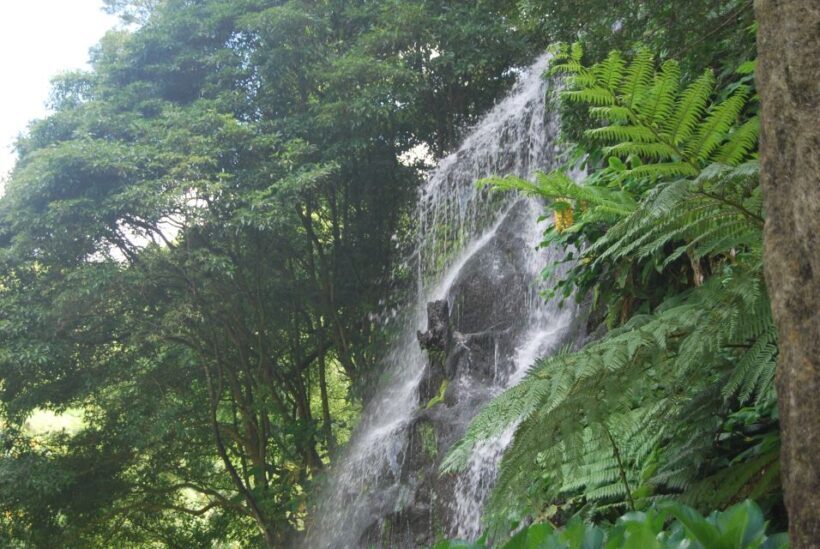 São Miguel: Full-Day Nordeste & Waterfall Tour with Lunch - The Sum Up