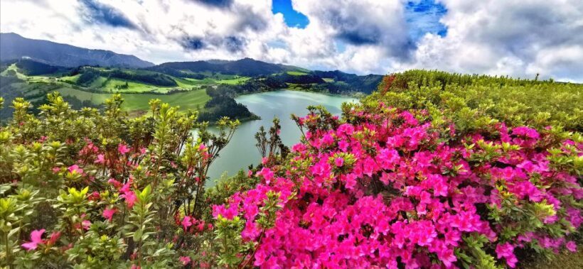 São Miguel: Furnas and Nordeste Full-Day Tour with Lunch - Why This Tour Works for You