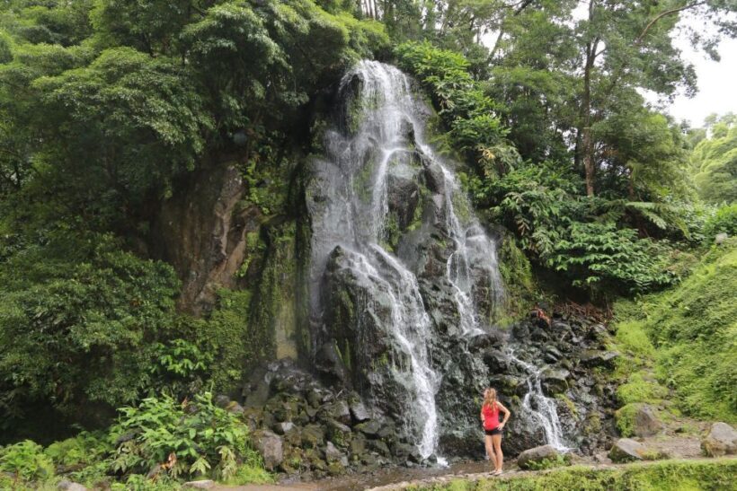 São Miguel: Furnas and Nordeste Full-Day Tour with Lunch - Who Should Consider This Tour?