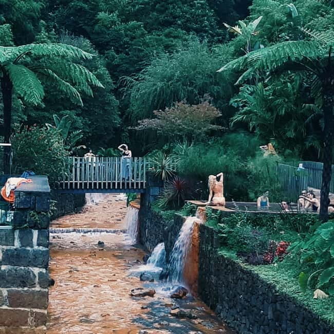 São Miguel: Furnas Volcano & Tea Plantation Tour & Lunch - Who Should Book This Tour?