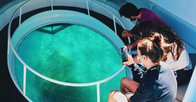 São Miguel: Glass Bottom Boat Tour with Snorkeling - A Close Look at the Experience