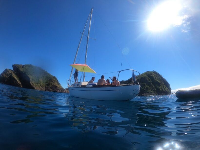 São Miguel: Island Highlights Private Tour by Boat and Van - Exploring São Miguel: A Detailed Look at the Tour