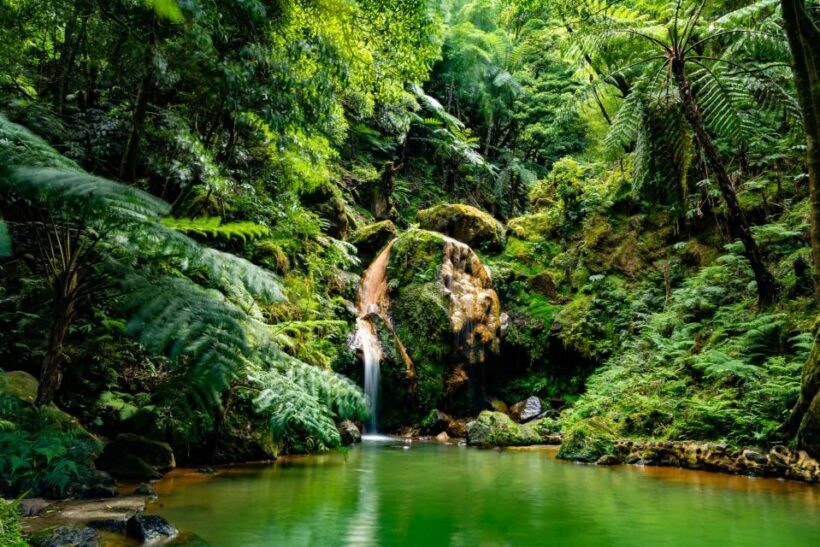 Sao Miguel: Jeep Tour to Sete Cidades & Lagoa do Fogo - What Sets This Tour Apart