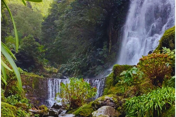 São Miguel: Majestic North Tour (Local Lunch Incl.) - The Itinerary: What makes each stop worth your time?