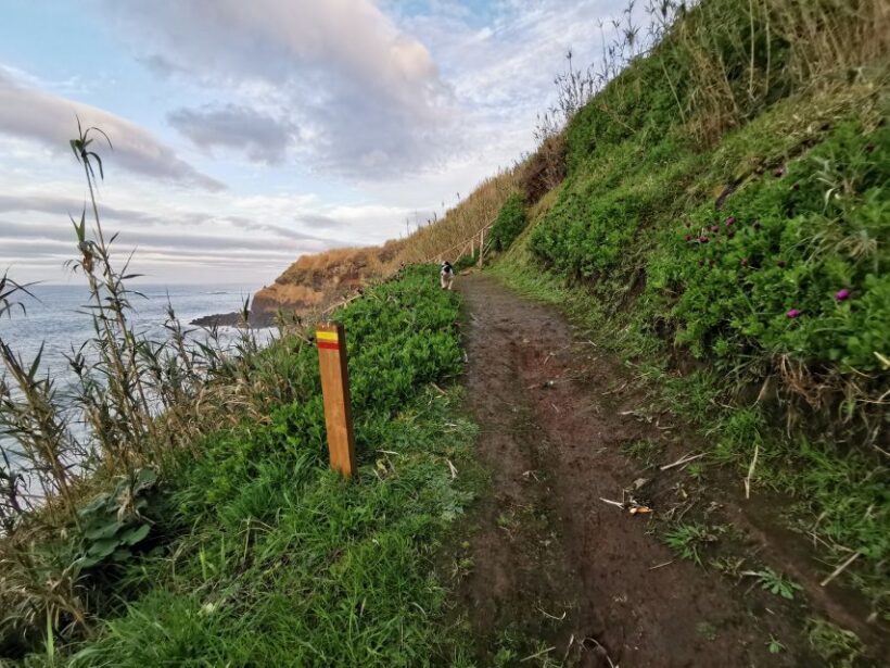 São Miguel: Ribeira Funda Hike & Tea Plantation with Lunch - The Itinerary and What You Can Expect