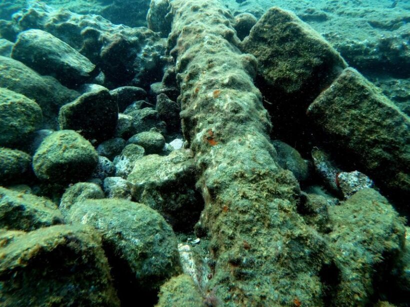 Sao Miguel: Snorkeling around Vila Franca do Campo - Key Points