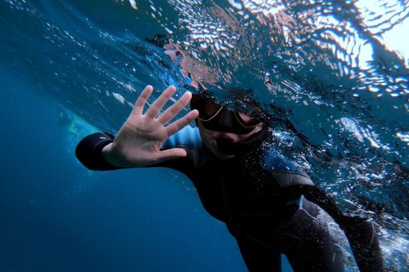 Sao Miguel: Snorkeling around Vila Franca do Campo - A Closer Look at the Experience