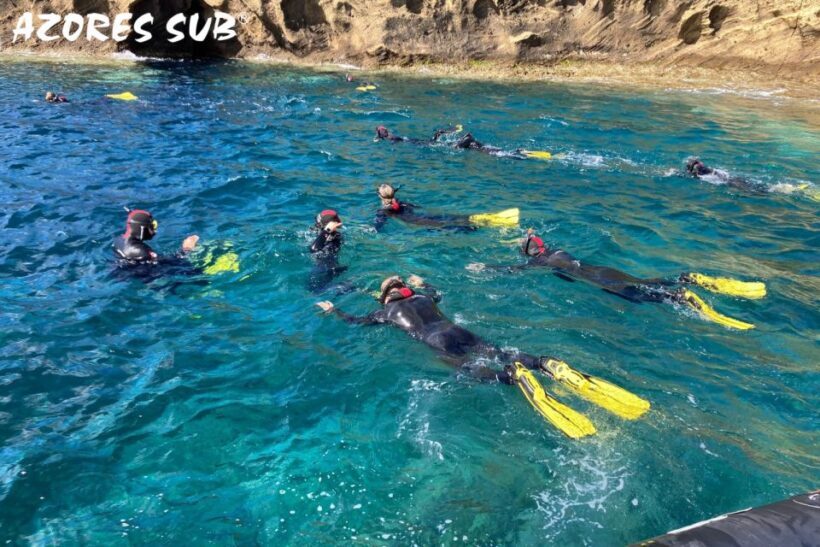 Sao Miguel: Snorkeling around Vila Franca do Campo - The Experience’s Highlights and Challenges