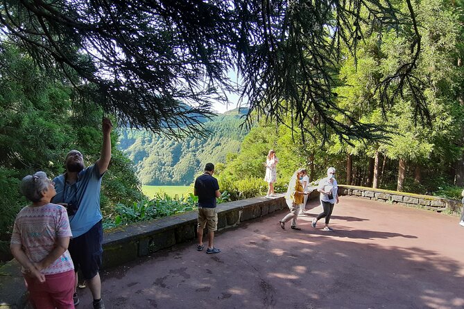 São Miguel West Full Day Small-Group Tour From Ponta Delgada - Traveler Reviews and Experiences