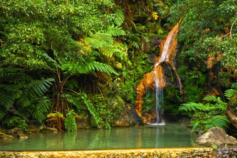 São Miguel West: Sete Cidades and Fogo Tour with Lunch - An In-Depth Look at the São Miguel West Tour