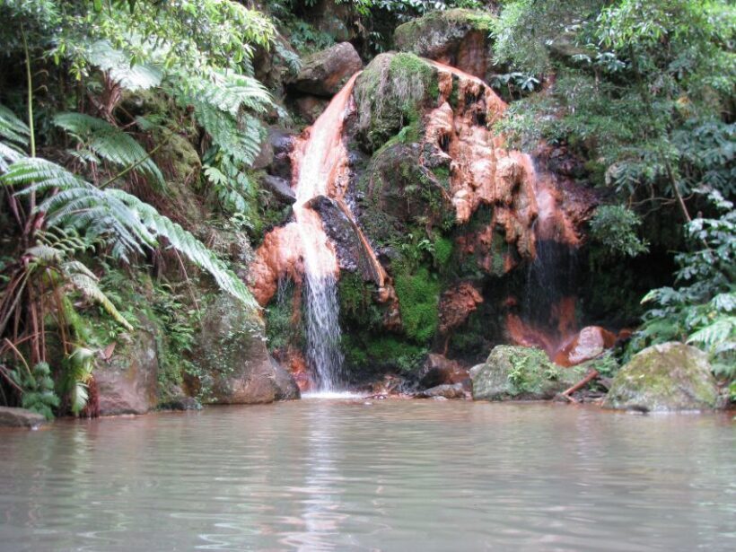 São Miguel: Whales & Volcano Full-Day Tour with Lunch - Is This Tour Worth the Price?