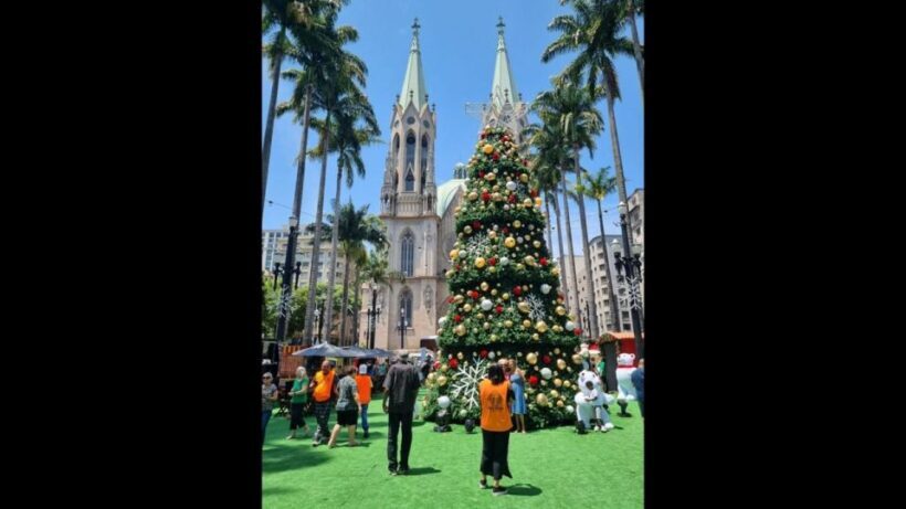 São Paulo: 5hr City Tour With Fruit Tasting - Key Points