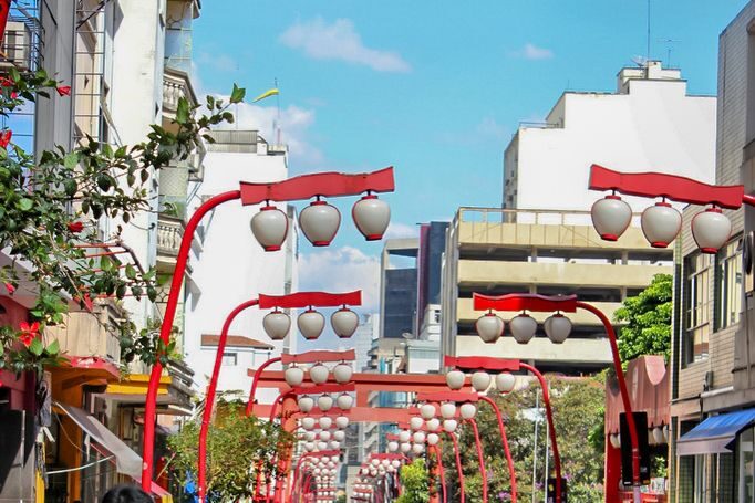 São Paulo City: 5-Hour Private Tour - Final Thoughts: Who Is This Tour Best For?