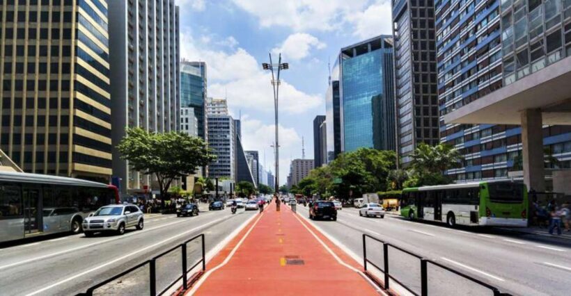 São Paulo: City Highlights Guided Tour - Exploring the Heart of the City: Culture, History, and Neighborhoods