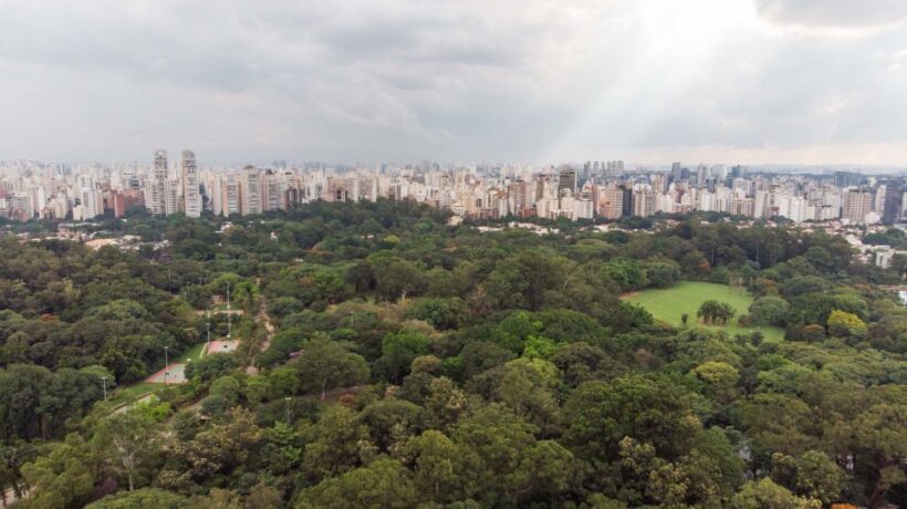 Sao Paulo City Tour - Practical Considerations and Tips