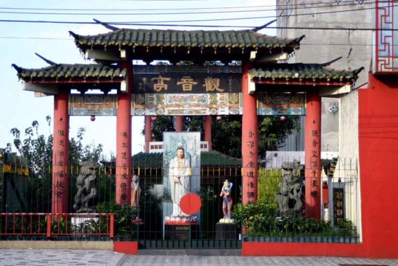 São Paulo: Full-Day Guided City Tour from the Port of Santos - Passing by Paulista Avenue