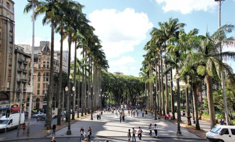 São Paulo: Full-Day Guided City Tour from the Port of Santos - How Does the Cost Measure Up?