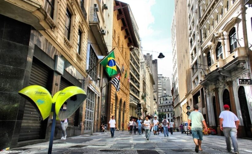 São Paulo: Full-Day Guided City Tour from the Port of Santos - Who Will Love This Tour?