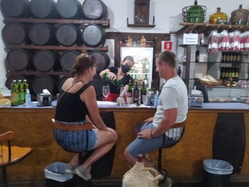 São Paulo: Full-Day Private Wine Tour in São Roque - Who Should Consider This Tour?