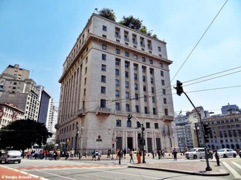 São Paulo : Highlights Walking Tour With A Guide - What the Tour Offers in Practice