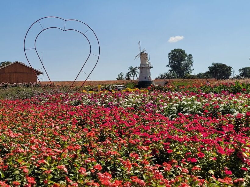 São Paulo: Holambra Colorful Flower Farm Guided Day Trip - FAQs