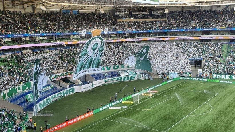 São Paulo: Join a Palmeiras Game Experience with a local - A Deep Dive into the Palmeiras Game Experience