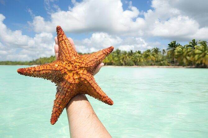 Saona and Mano Juan Private Tour by speedboat from Punta Cana - Introduction: Why This Tour Stands Out