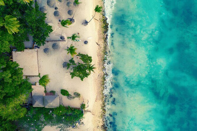 Saona and Mano Juan Private Tour by speedboat from Punta Cana - Why Choose This Private Speedboat Tour?