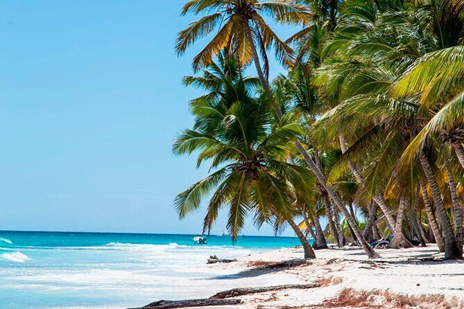 Saona Catamaran Cruise with Lunch and Natural Swimming Pool - The Boat Ride and Beach Party