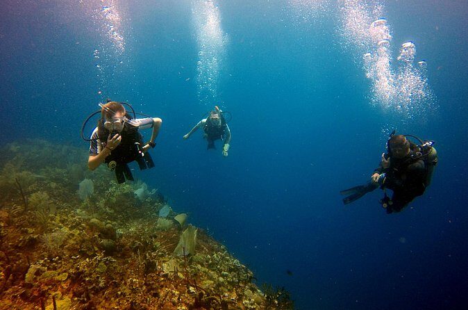 Saona Diving - Who Will Love This Tour?