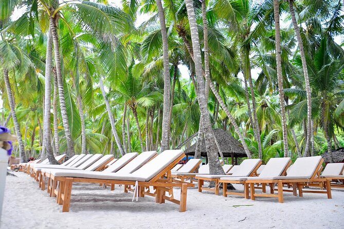 Saona full day with Food and drinks - Practical Considerations