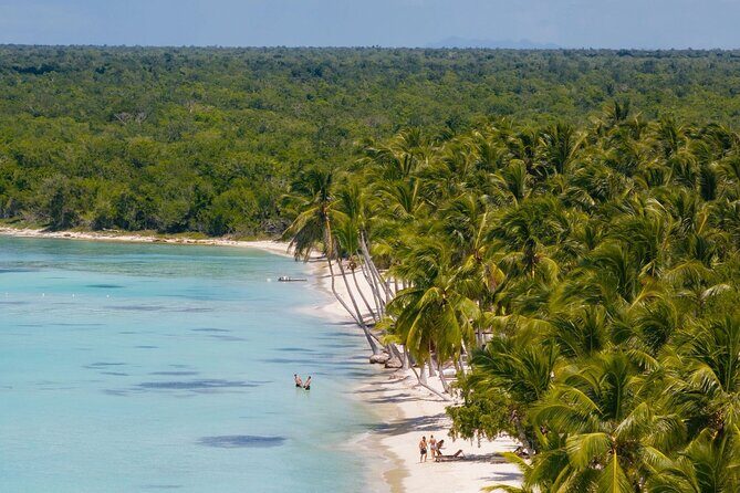 Saona in Punta Cana - The Full Experience: What to Expect on Your Day Trip to Saona