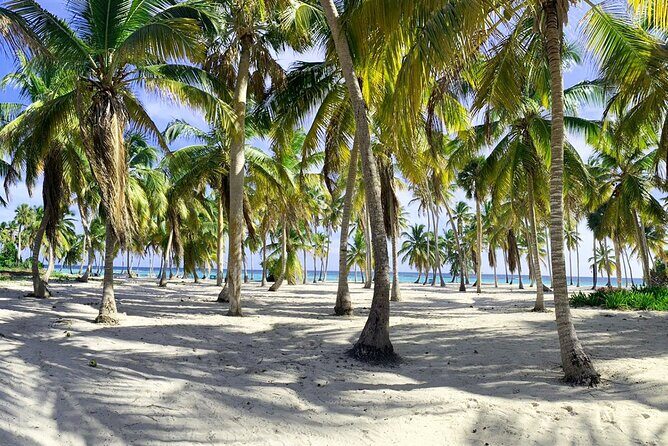 Saona Island 3 Beaches - Summary: Is It the Right Tour for You?