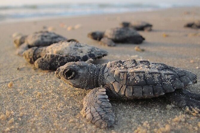 Saona Island 3 Beaches - Final Thoughts